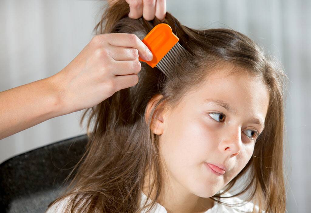How to Get Rid of Lice Naturally at Home? - Abcs Health 2 Success ...